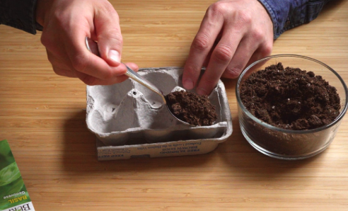 3 Creative Ways to Reuse Egg Cartons - Eco Actions