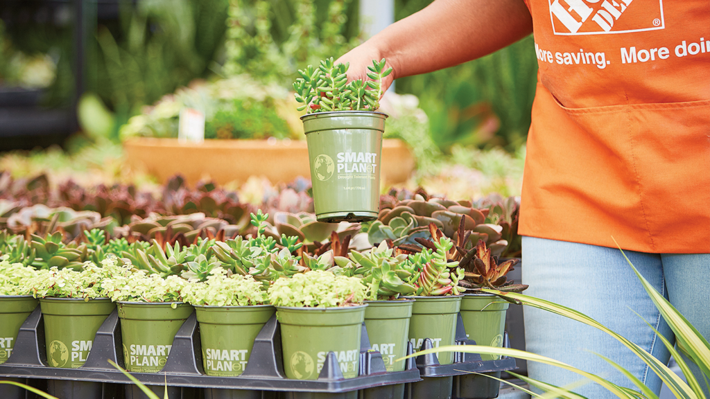 Recycling to Reduce Our Environmental Impact - Eco Actions